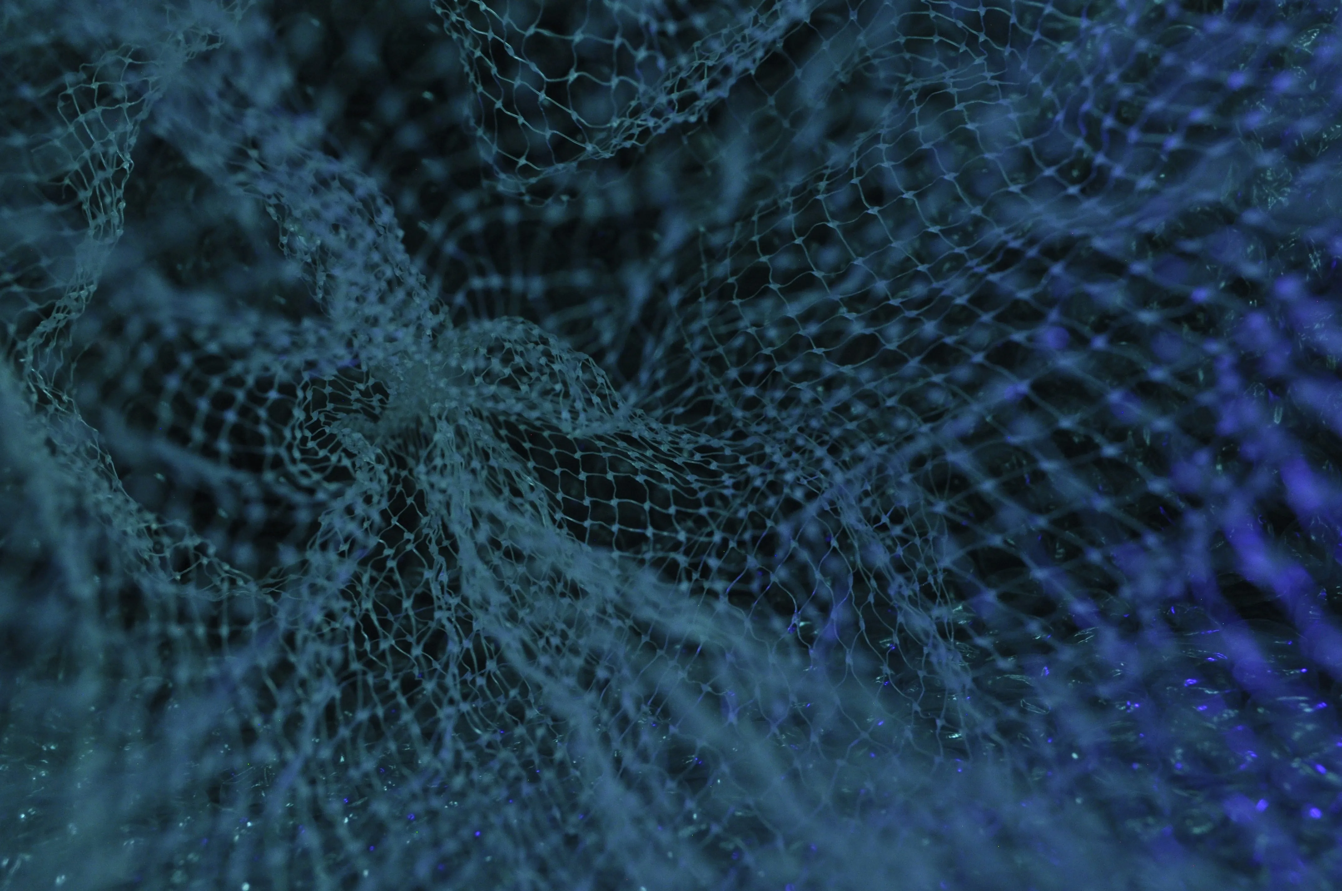 Amazon Aurora RDS : Readers Auto Scaling y Custom Endpoints · Blog de ...